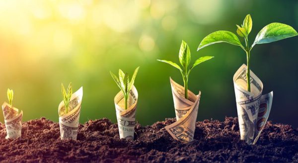 The Rich Cultural Heritage of Arain Cast - Arain Luminaries